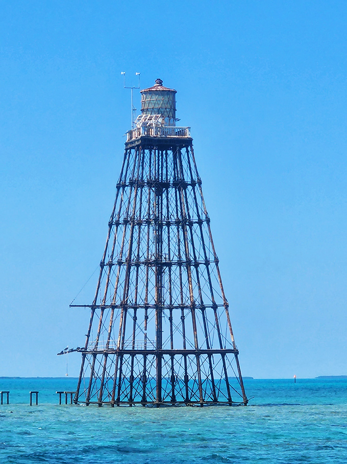 The skeletal framework of Sand Key Lighthouse creates an industrial beauty against the perfect blue sky, standing in waters so clear they barely seem real.