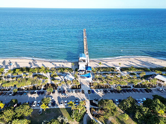 An aerial view reveals how the pier connects land to sea, a man-made extension reaching into nature's vast blue playground.