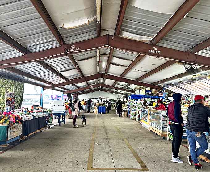 The human tapestry of Flea World &ndash; where shoppers from all walks of life unite in the universal quest for a good deal.