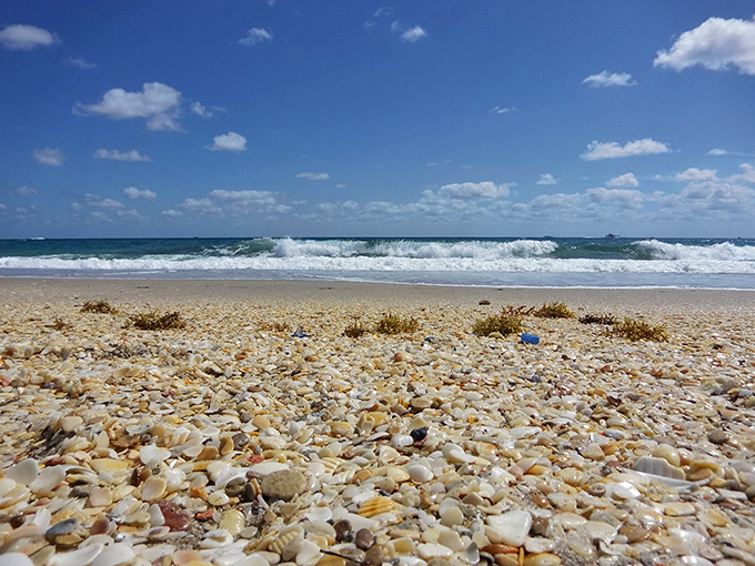 Shell-seekers paradise! This stretch of shoreline offers treasure hunting opportunities with every wave, far from the maddening crowds of tourist hotspots.