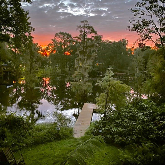 The dock extends over dark water that reflects both sky and history, offering perfect spots for contemplation and wildlife watching.