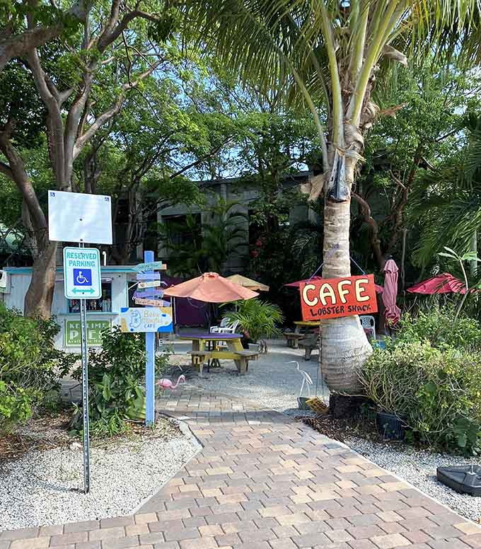 The cafe area offers a spot to relax and reflect on your Betsy encounter while enjoying the tropical atmosphere that defines Keys living.