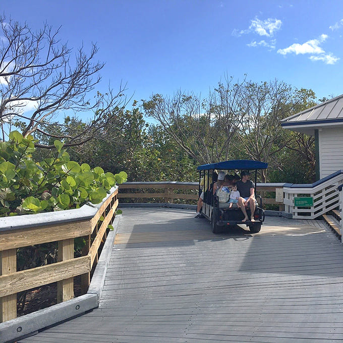 The complimentary tram service proves that getting to paradise doesn't have to involve a workout, though walking is lovely too.