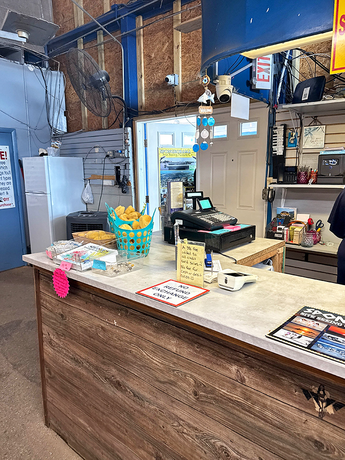 The unassuming checkout counter belies the underwater treasures that surround it – where else can you purchase actual pieces of marine life?
