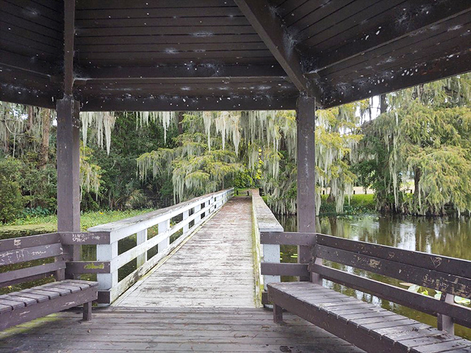 This rustic shelter has witnessed countless fishing tales, family picnics, and quiet moments of contemplation beside Lochloosa's peaceful waters.