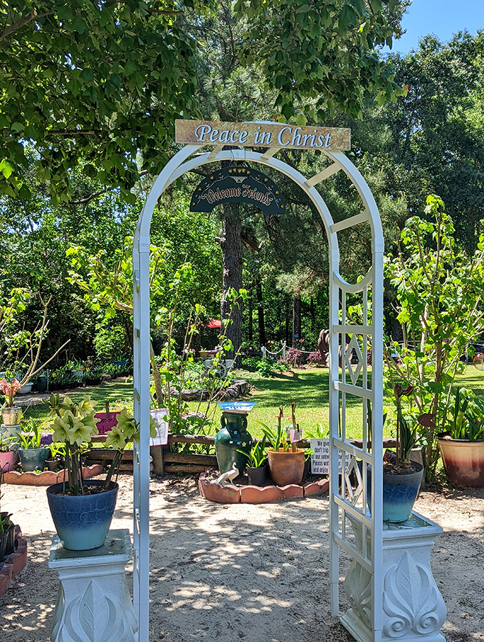 The Peace in Christ garden creates a sanctuary of tranquility where potted plants and quiet contemplation bloom together.