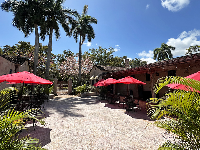 Coral-colored umbrellas dot the courtyard like tropical mushrooms, offering shade and style to weary swimmers between dips.