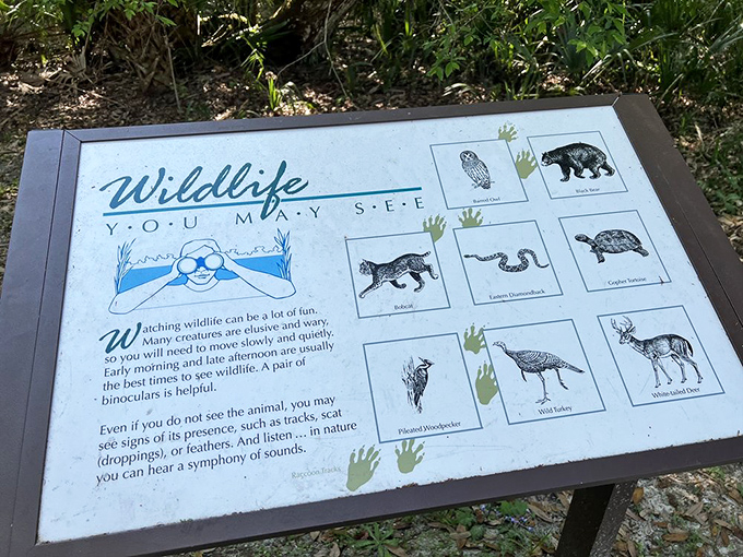 Wildlife warning signs remind visitors that in Florida, you're never far from creatures with more teeth than manners.