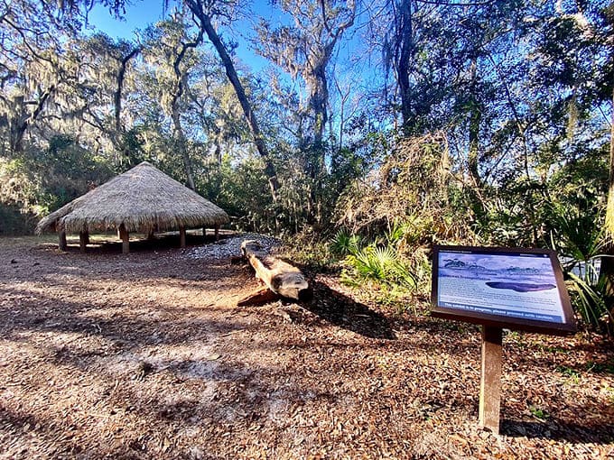 The Timucuan village exhibit honors the indigenous people who thrived here for millennia before European ships appeared on the horizon.