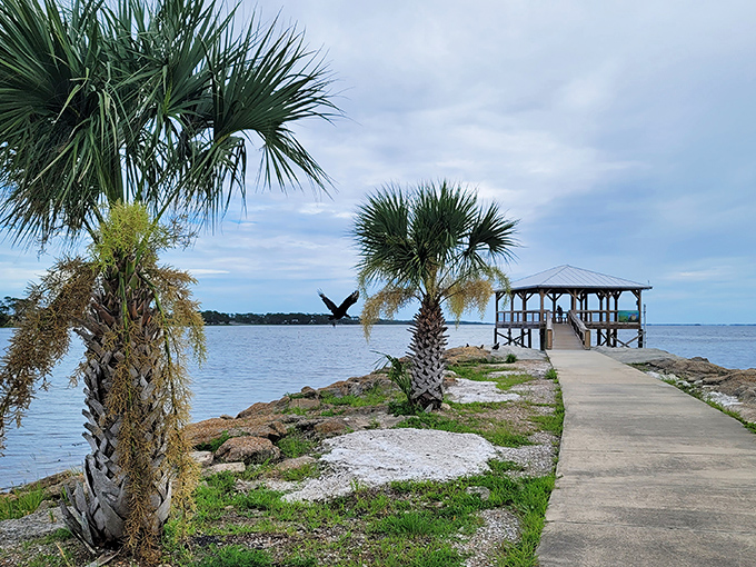 Palm trees frame this peaceful pier where fishing lines dangle hopefully and conversations meander as lazily as the passing clouds.
