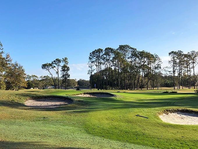 Zephyrhills Golf Club's natural landscape creates challenging holes among rolling hills and mature trees &ndash; a refreshing alternative to Florida's manufactured courses.