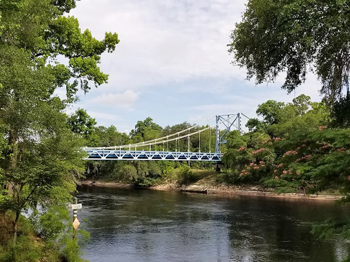 The forest crowds close like it's trying to reclaim the space, but the bridge holds its ground, a blue ribbon through endless green.