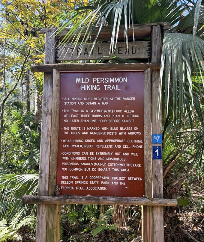 Fair warning about Florida's wilderness &ndash; it's hot, sometimes wet, and occasionally bitey. But those who venture forth discover Old Florida's untamed beauty.