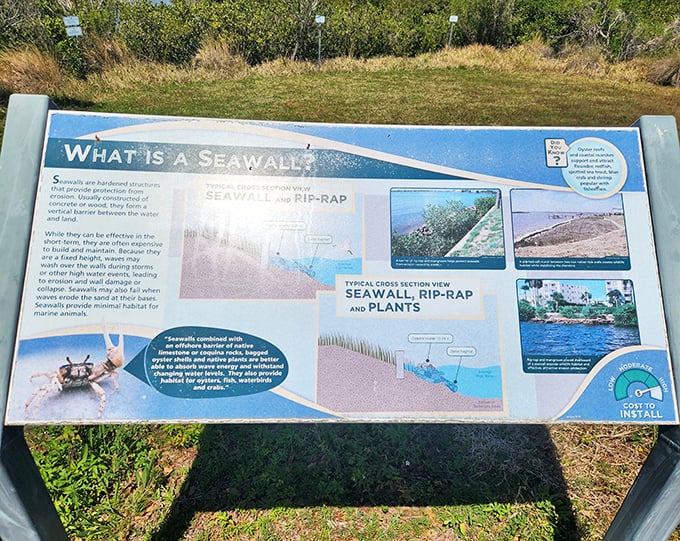 Wall talk that's actually interesting: This sign explains how seawalls impact coastal ecosystems without getting too technical.