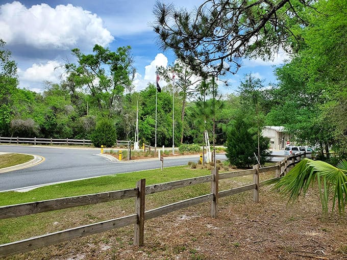 Even the roadside views here beat most people's vacation photos, proving that sometimes the journey really is as good as the destination.