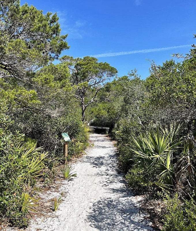 Nature's hallway &ndash; this trail doesn't just lead somewhere; it takes you somewhere, with a side of vitamin D.