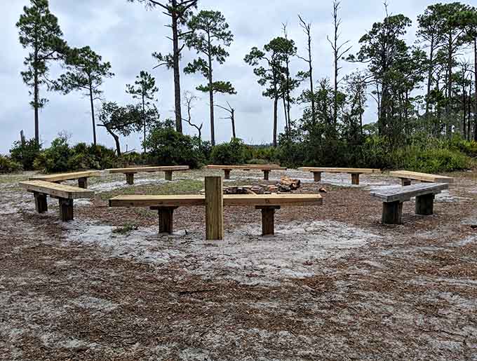 Communal fire rings invite groups to gather and share stories under the ancient oaks, creating memories that last.