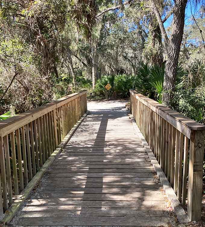 Wooden boardwalks protect delicate ecosystems while giving you front-row seats to nature's greatest show, it's a win-win situation.