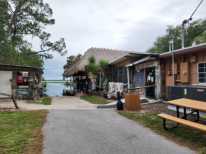 Nature provides the backdrop at this lakeside gem where cypress trees frame water views better than any designer could.