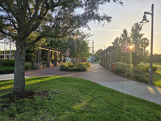 This shaded pathway offers respite from Florida's enthusiastic sunshine, where dappled light plays on the ground below.