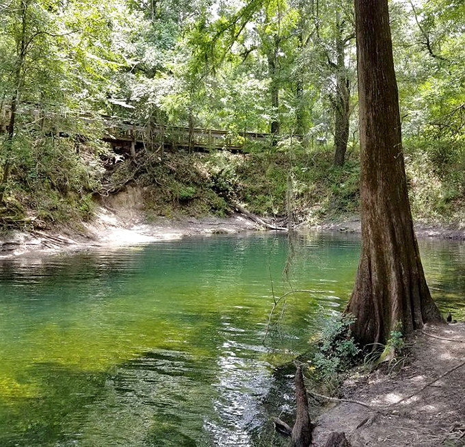 The quiet spring bank offers a moment of Zen that even the most expensive meditation app couldn't replicate if it tried.