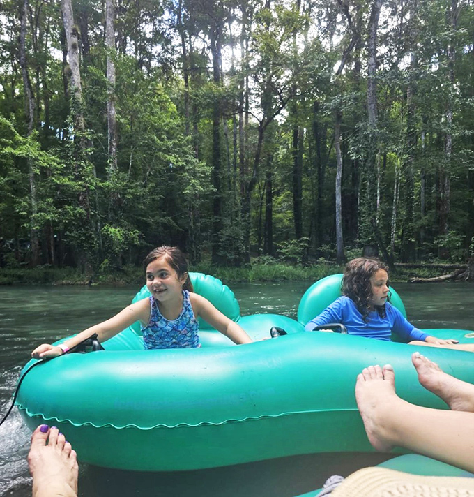 River tubing transforms ordinary afternoons into adventures as families float through natural corridors flanked by towering trees.
