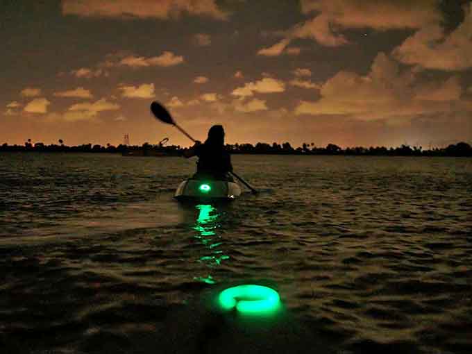 Silhouetted against the twilight sky, a lone kayaker ventures forth, unaware of the glowing wonderland waiting just beneath the paddle.