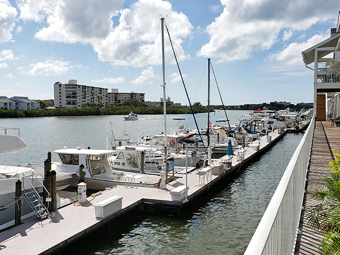The marina setting means you're not just at a water park, you're part of Florida's coastal lifestyle with boats drifting by as backdrop.