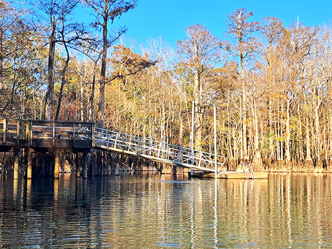 The spring's dock offers easy access to waters so clear that swimmers appear to be floating in air rather than liquid.