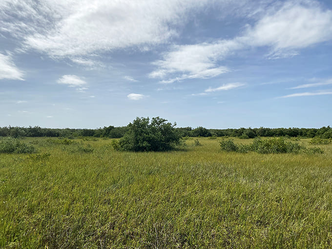 That grassy expanse is Florida's version of a time machine parking lot&mdash;leave your modern worries at the entrance.