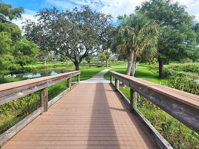 Bridges over wetlands offer elevated views and the perfect spot for pretending you're in a nature documentary.