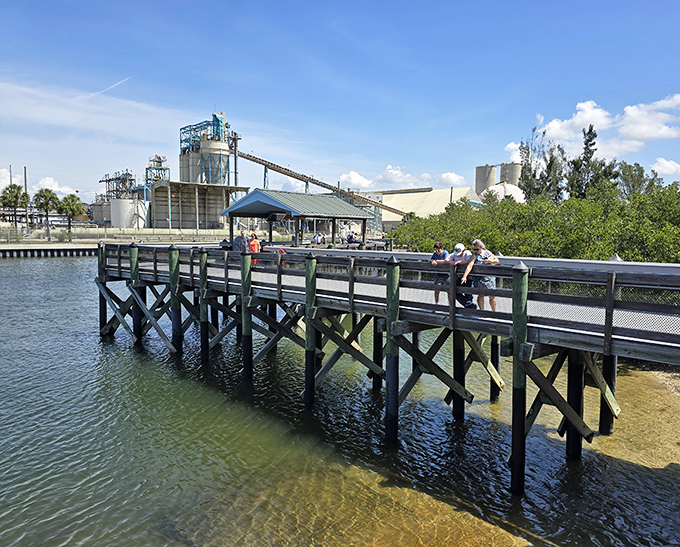 The viewing platform extends like a finger pointing to nature's wonders, where humans and manatees share moments of cross-species connection.