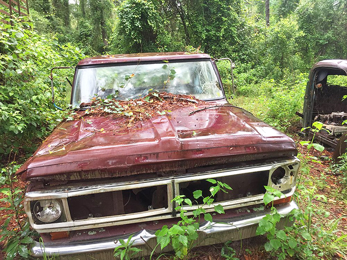 This F-Series pickup wears its decades proudly, like wrinkles on the face of a grandfather with too many stories to tell.