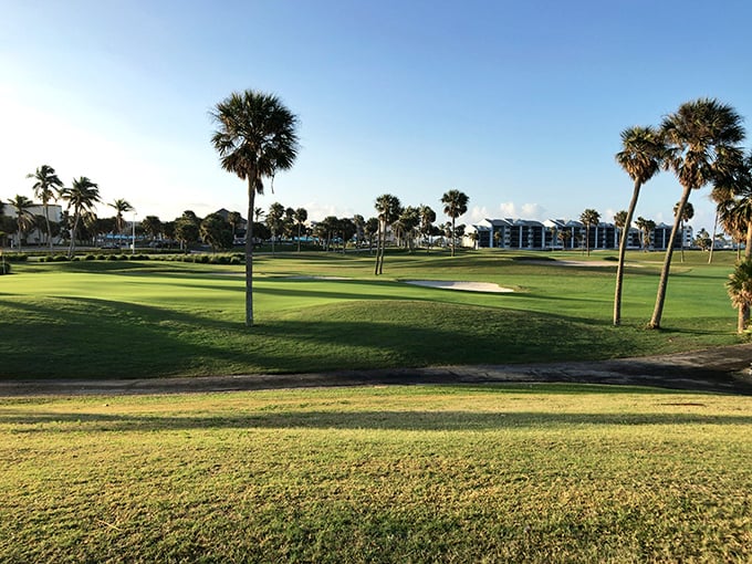 Perfectly manicured greens stretch toward the horizon, offering both visual serenity and space for picnics, games, or simply cloud-watching.