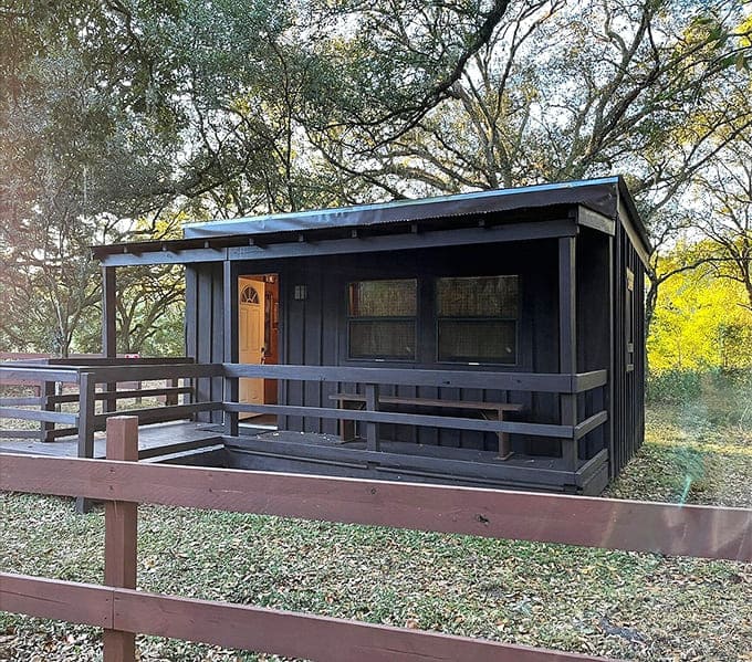 Cabins that split the difference between camping and comfort, for those who like their nature civilized.