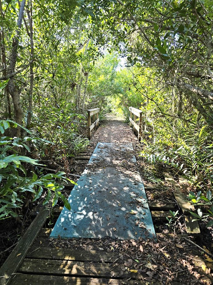 This trail promises adventure through a green tunnel where cell service fades and actual human thoughts can finally form.