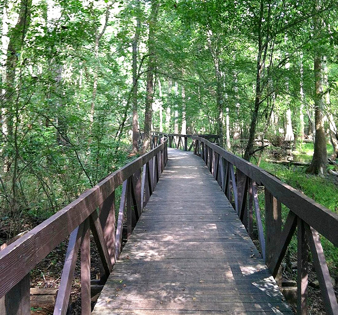 This boardwalk bridges two worlds &ndash; the solid ground of everyday life and the magical realm of Florida's wild wetlands.