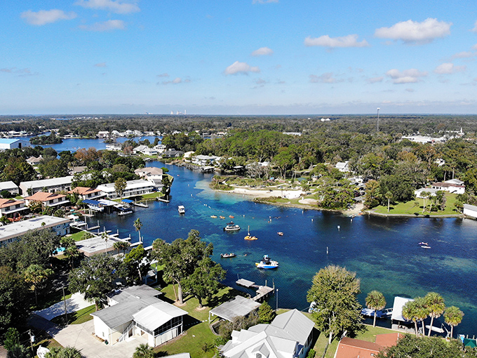 From above, the springs reveal their true splendor&mdash;a tapestry of blues surrounded by Florida's lush landscape.