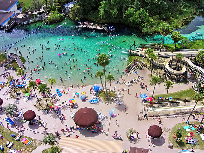 Bird's eye view captures the perfect marriage of natural wonder and family fun, where spring waters create Florida's most unique aquatic playground.