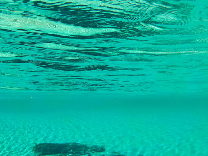 Nature's own aquarium display &ndash; where underwater visibility stretches for feet, not inches, revealing a world few ever see.