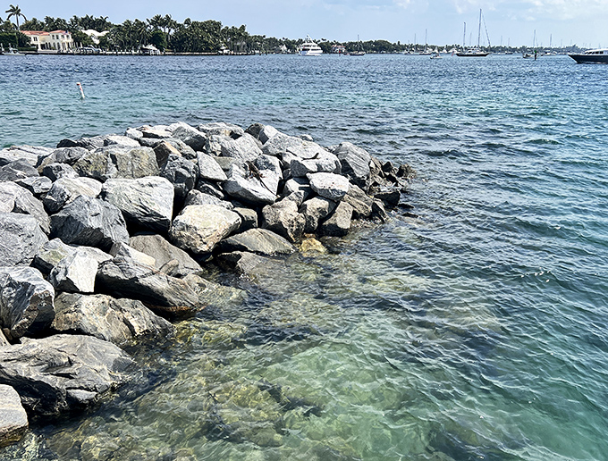 Rocky outcroppings meet crystal waters, creating natural aquariums where fish dart between shadows and sunlight in an endless underwater ballet.