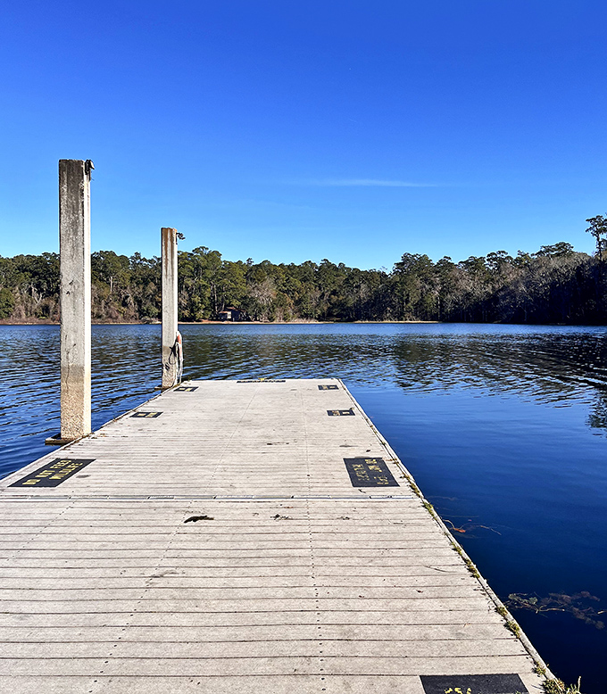 This simple wooden dock extends an invitation to pause and appreciate Lake Hall's serene waters from a different perspective.