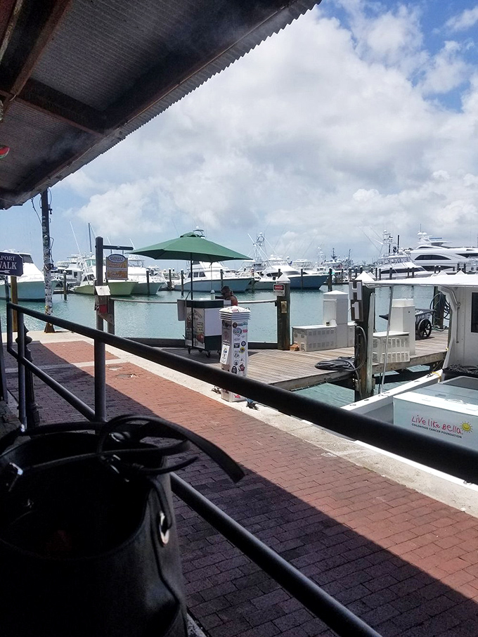 A dockside view that no interior designer could replicate. Nature's aquarium &ndash; boats, water, and the promise of tomorrow's catch.