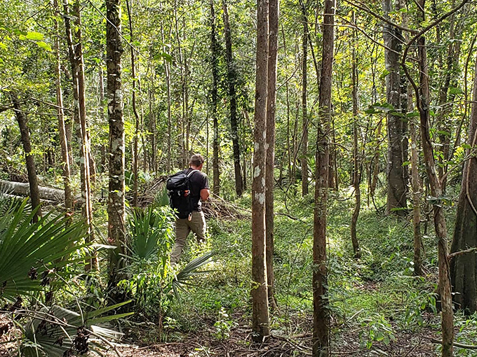 The trail winds through typical North Florida landscape, where palmettos and pines create a distinctly Southern atmosphere.