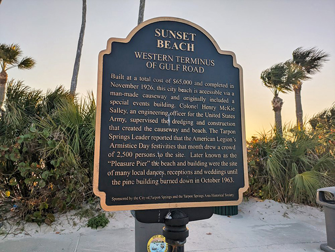 Volleyball, anyone? Sun-dappled courts await friendly competition under the watchful gaze of towering palms.