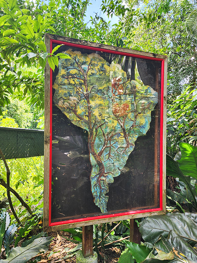 An artistic rendering of South America reminds visitors of these primates' origins, connecting their sanctuary home to distant rainforests.