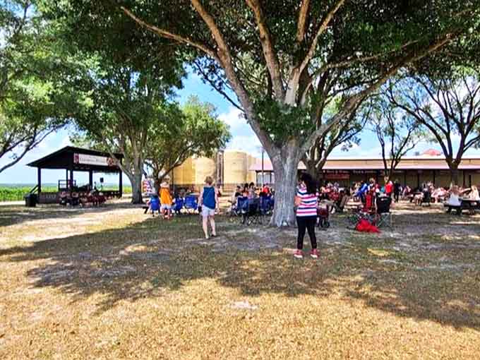 Weekend festivals transform the grounds into a community celebration where wine, music, and Florida's natural beauty create perfect harmony.