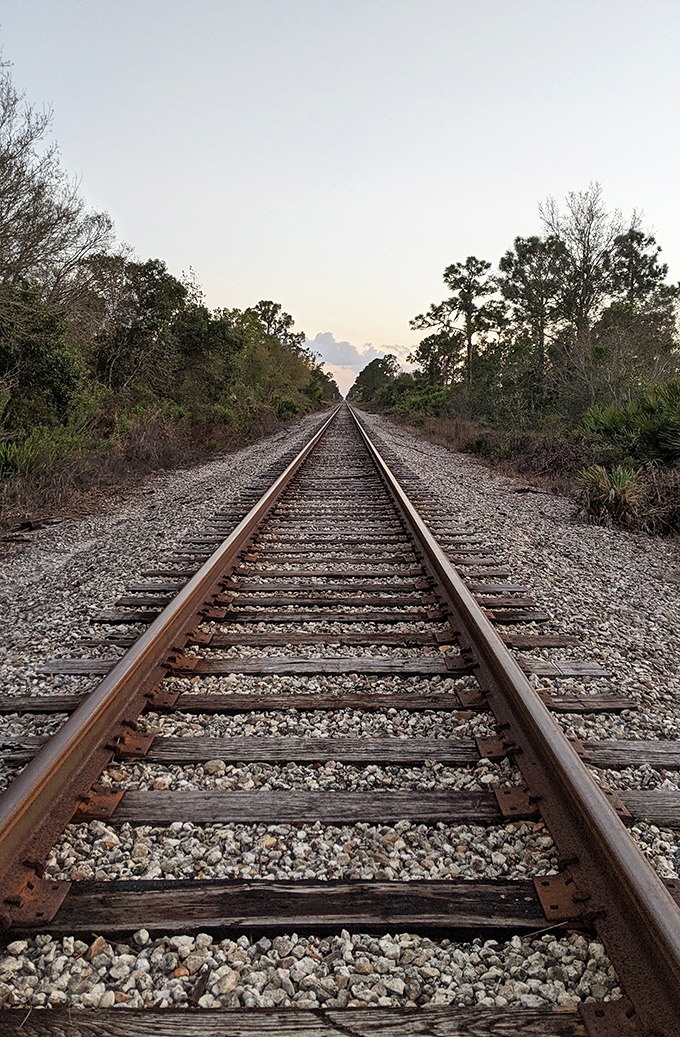 Railroad tracks stretch to the horizon through natural Florida, a poetic intersection of human history and timeless wilderness.