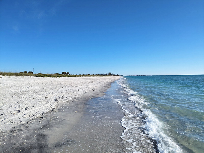 Where land meets sea: Gentle waves create a rhythmic soundtrack along the untouched shoreline of this barrier island paradise.