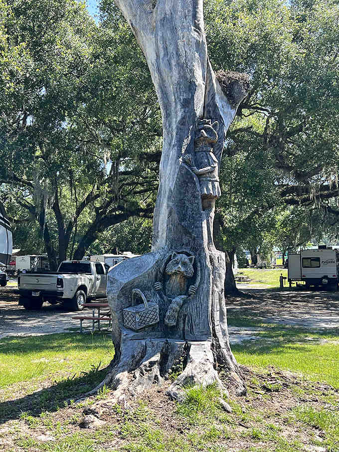 Art carved from adversity. This weathered tree trunk transformed into woodland sculptures tells stories only patient eyes can fully appreciate.